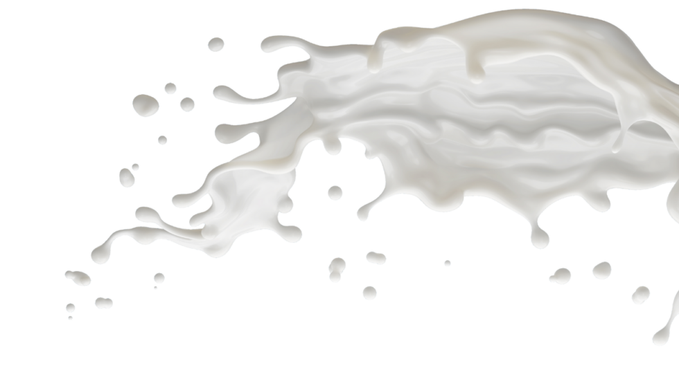 Was ist ein "Red Herring"?